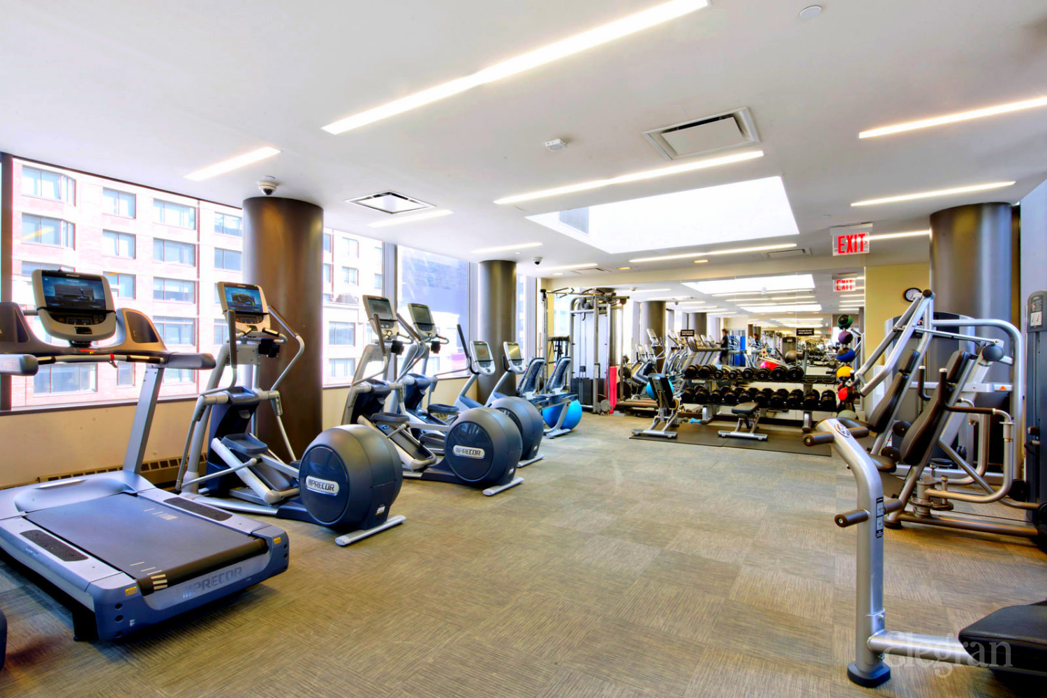 Chelsea Stratus | Elegran Real Estate