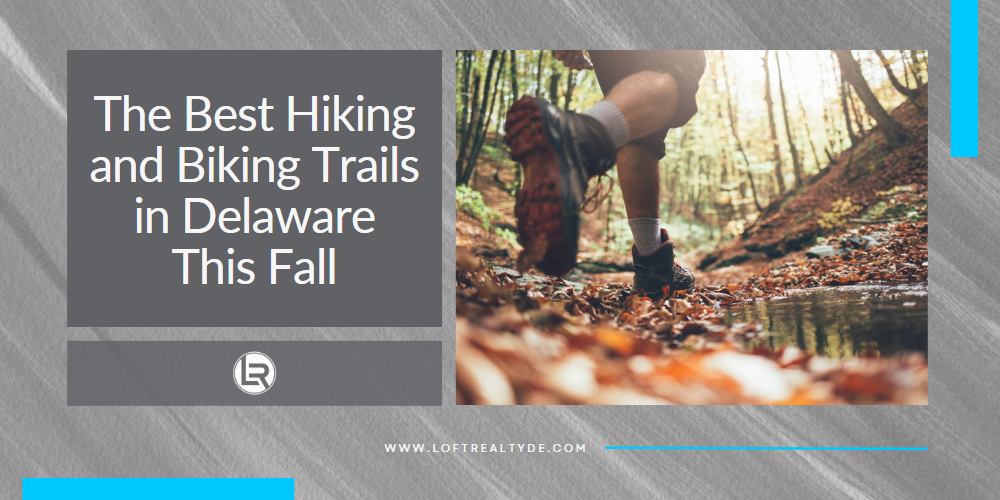 The Best Hiking and Biking Trails in Delaware This Fall - Zachary F...