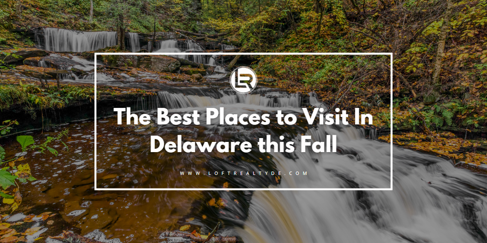 The Best Places to Visit In Delaware this Fall - Zachary Foust - Lo...