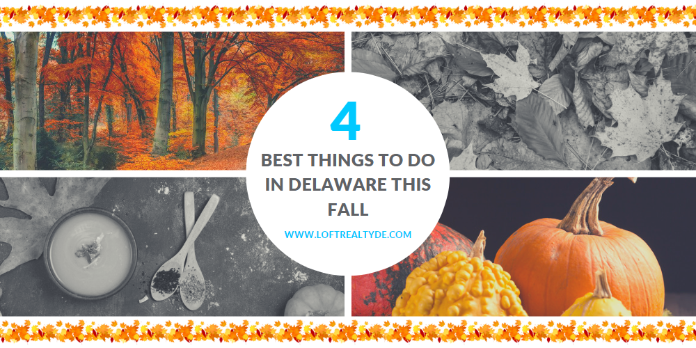 4 Best Things to Do in Delaware this Fall - Zachary Foust - Loft Team