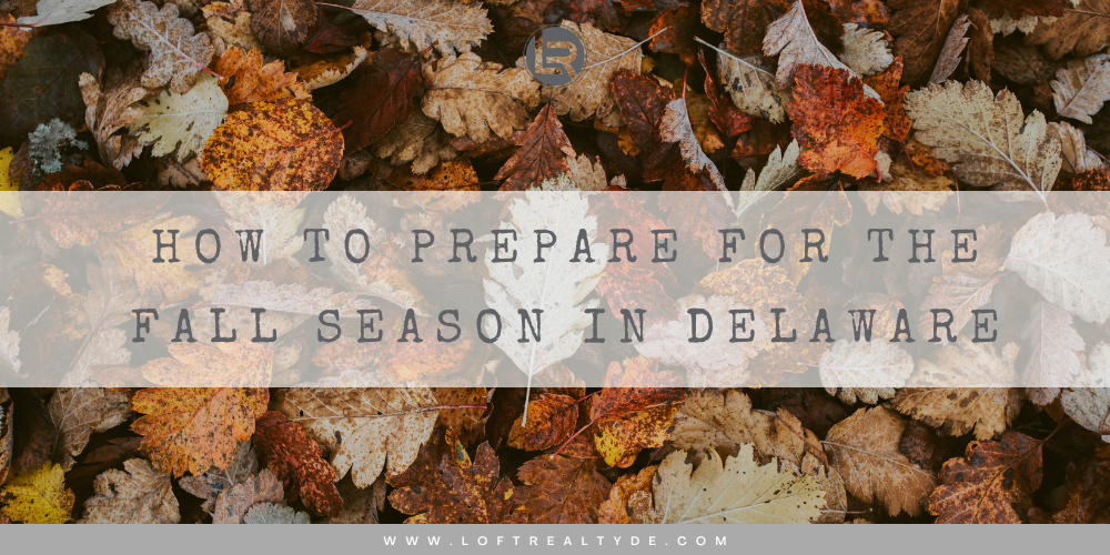 How to Prepare for the Fall Season in Delaware - Zachary Foust - Lo...