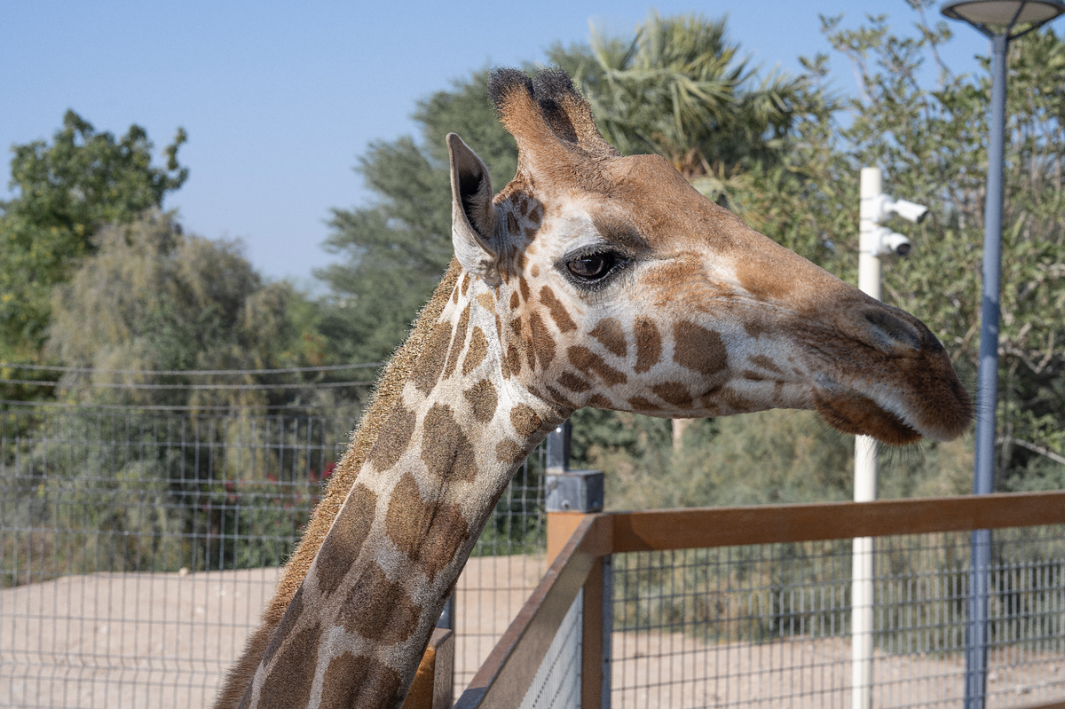 7 Things to do in Jacksonville Florida - Yasha Wells - Real Broker