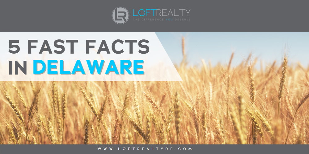 5 Fast Facts in Delaware - Zachary Foust - Loft Team