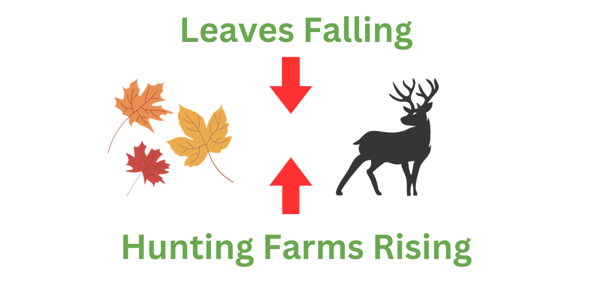 Leaves Are Falling-Hunting Farm Calls Are Rising -Toby Prussman - P...