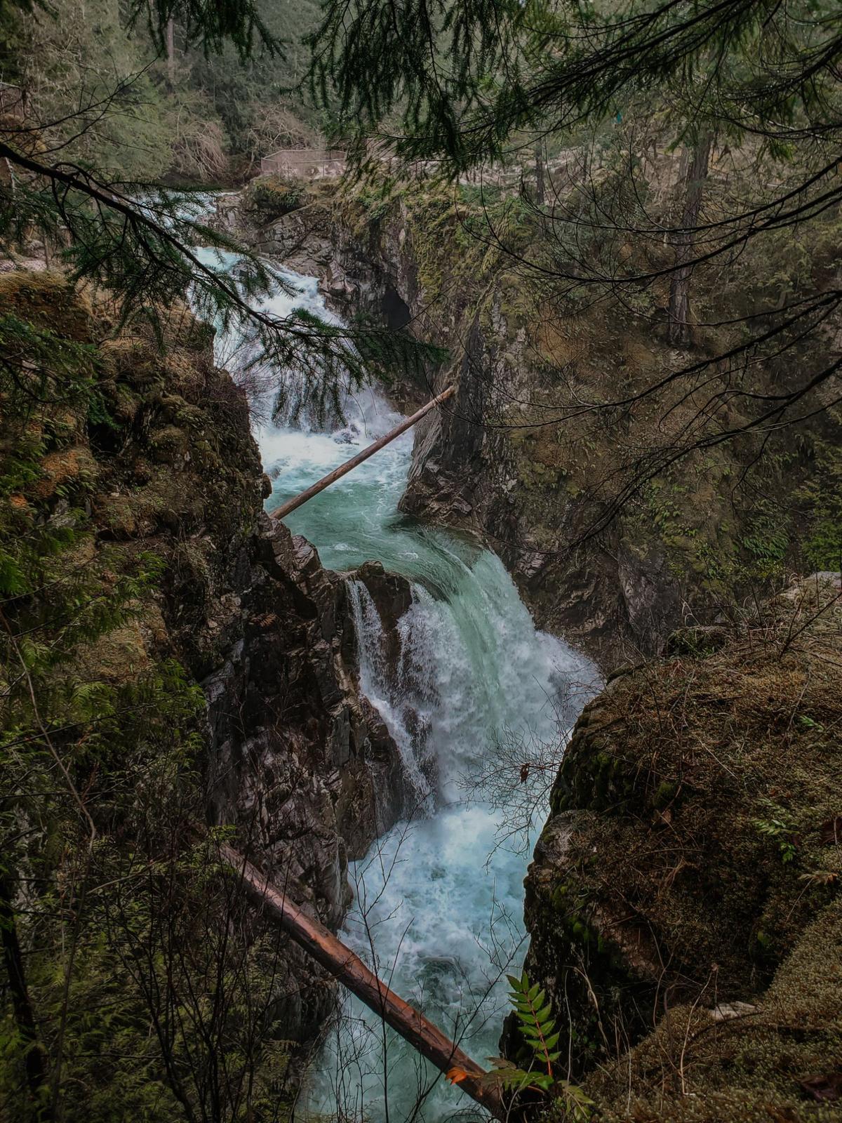 Living in Errington / Coombs Denise Hodgins PREC*eXp Realty Canada Inc