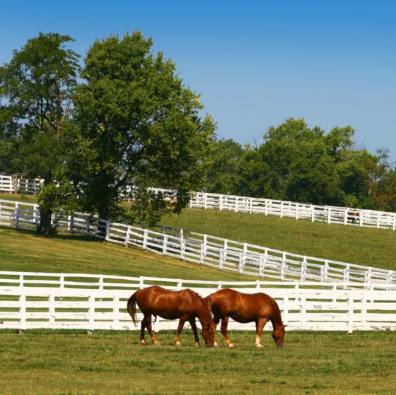 Northern Kentucky & Cincinnati Ohio Neighborhoods and Subdivisions ...