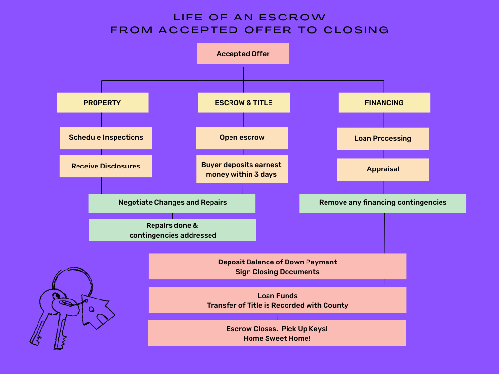 The Life of an Escrow Infographic - Robert Thompson - Owl's Nest Re...