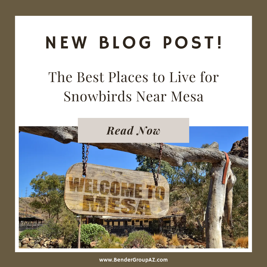 Escape Winter: The Best Places for Snowbirds Near Mesa, Arizona