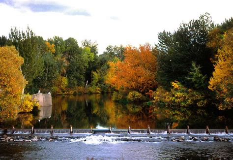 Star, Idaho - Homes for Sale - Cash McCallum - SIMPLY VEGAS | RE/MAX