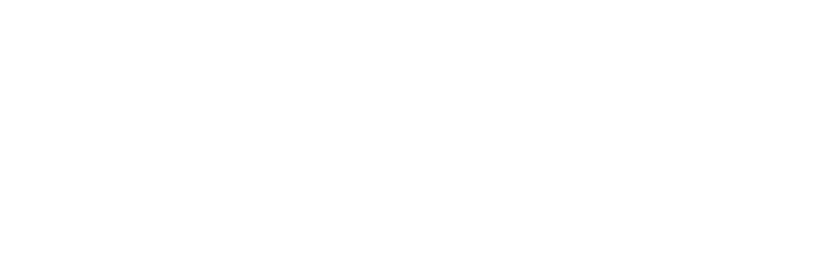 Real Estate - Travis Hitt - Real Estate Professional