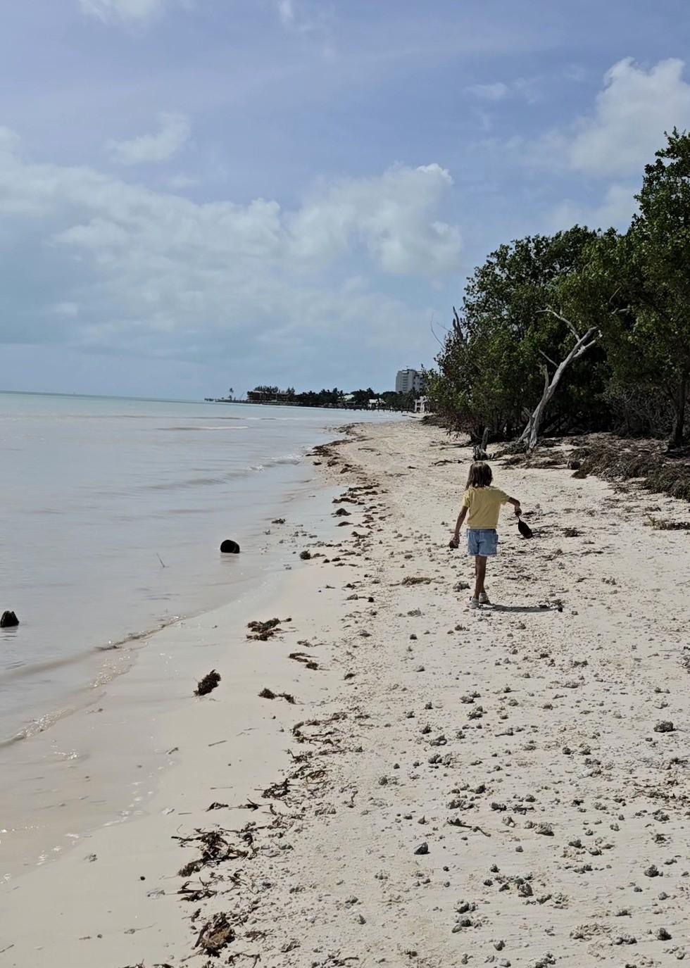 Discover Coco Plum Beach: A Hidden Gem in Marathon, FL - Kelly Will...