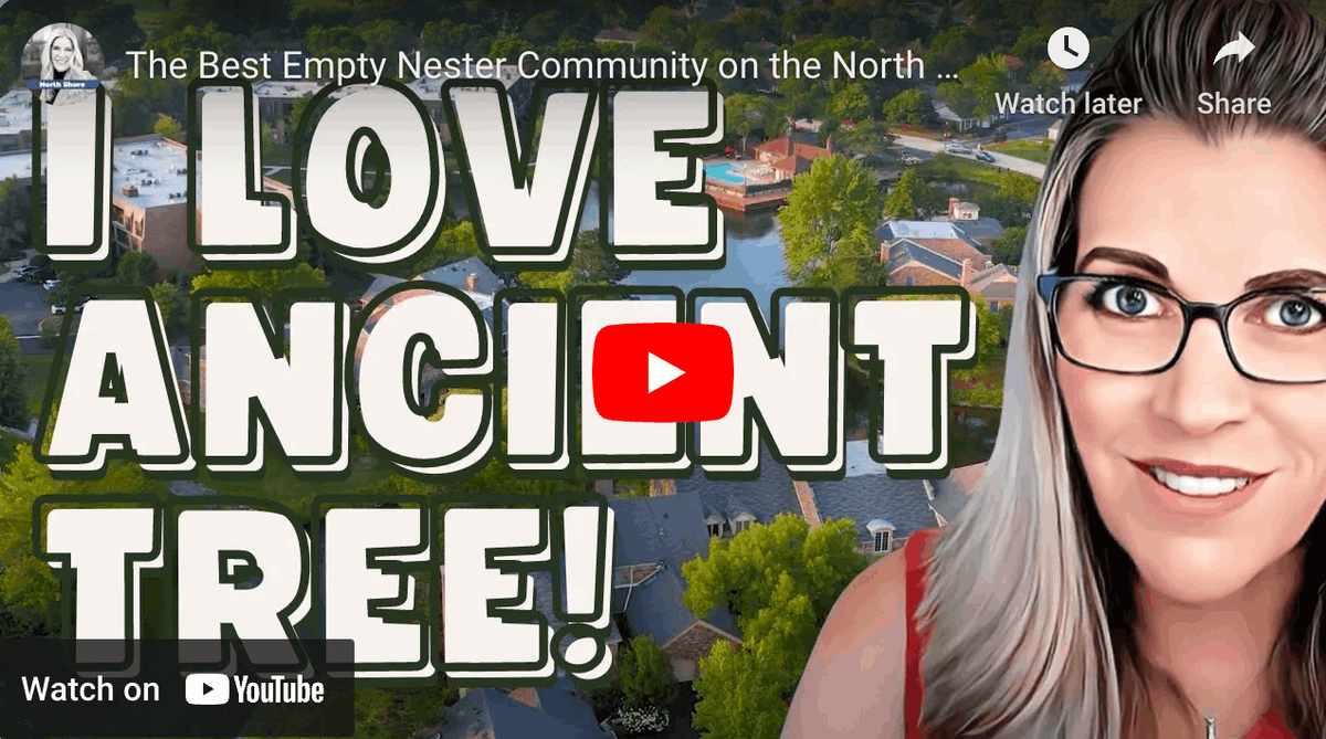 Everything You Need To Know About Ancient Tree - Kati Spaniak - Kat...