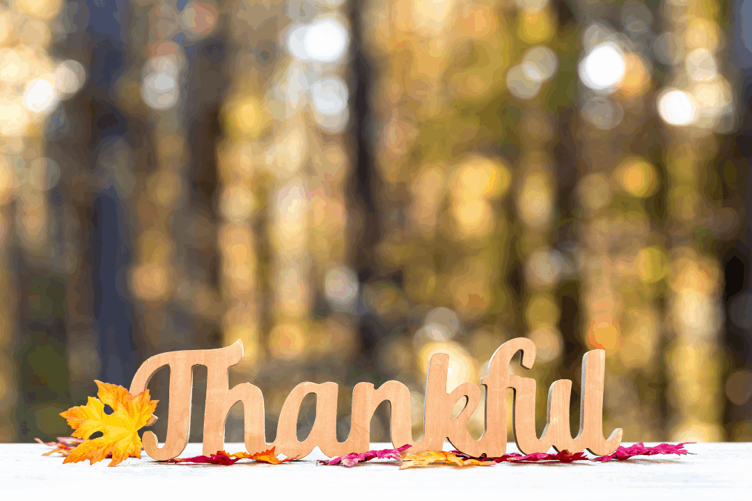 The Power of Thankfulness - Jennifer Hollister - Jennifer Hollister...
