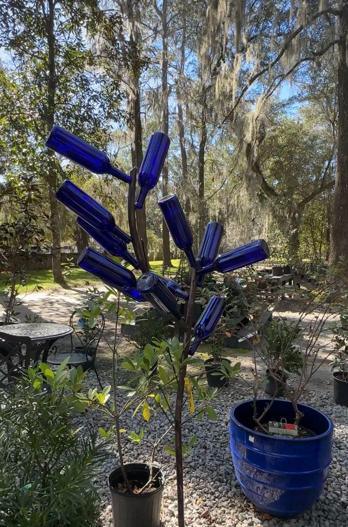 Embracing Tradition: Blue Bottle Trees in the Lowcountry - Tara Bit...