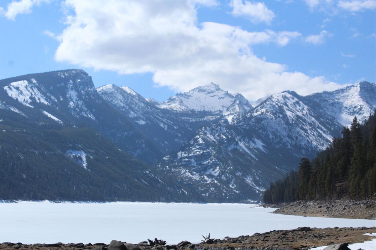 Darby - Homes for Sale - Dawn Maddux - Engel & Völkers Americas