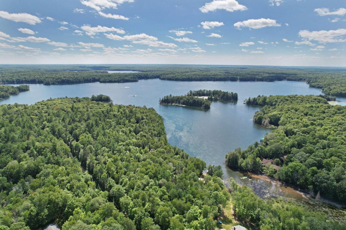 Real Estate - David Eliason - Eliason Realty of the North LLC