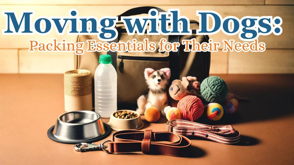 Moving with Dogs: Packing Essentials for Their Needs - Joe Bryan