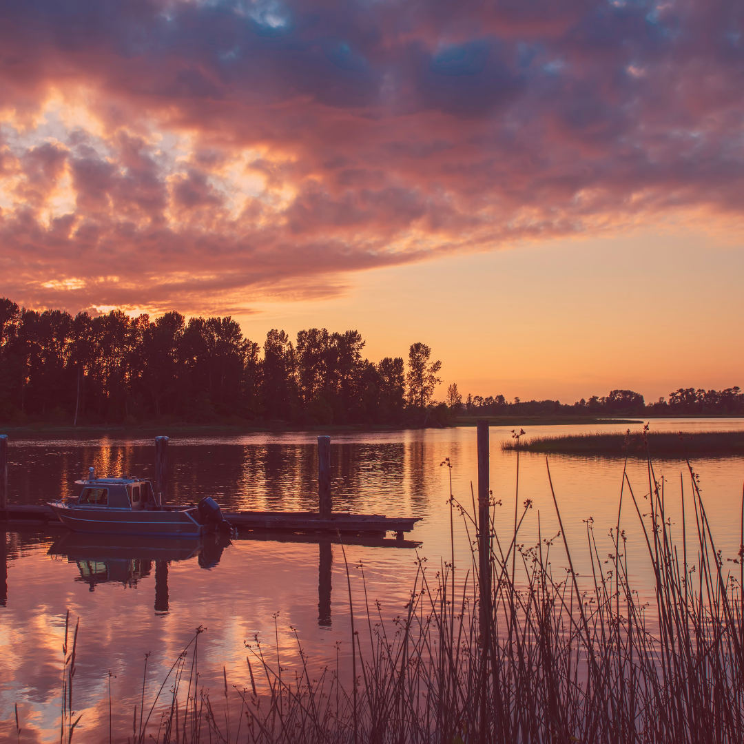 Discover the Charm of Ladner, British Columbia: Your Ideal Riversid...