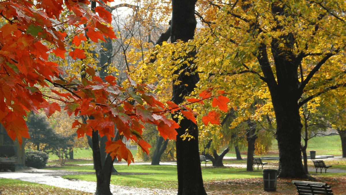 The Best Things to Do During Fall in Boston 2024 - Melanie Gundersh...