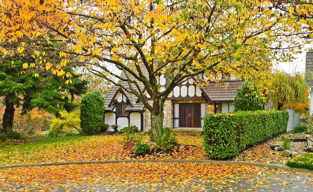 Fall 101 with Outdoor Pro Carson Arthur | Better Homes and Gardens ...