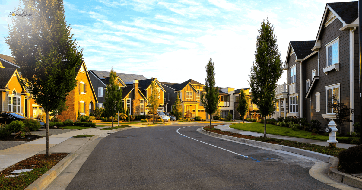 Setting Real Estate Goals in 2025 - Megan Denham - Homelime