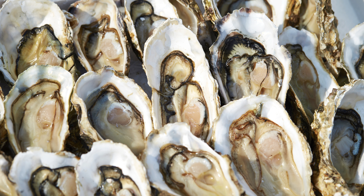 The Holy City's Annual Oyster Roasts: All the January & February Ev...