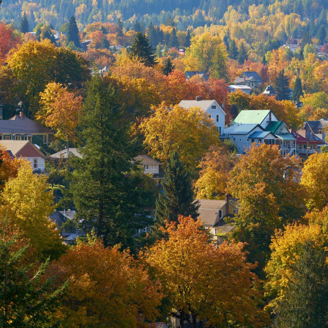 Featured Real Estate Listings in Nelson, BC- Homes for Sale- Be...