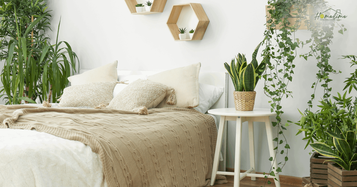 How to Create a Cozy Bedroom with Simple Updates - Megan Denham - H...