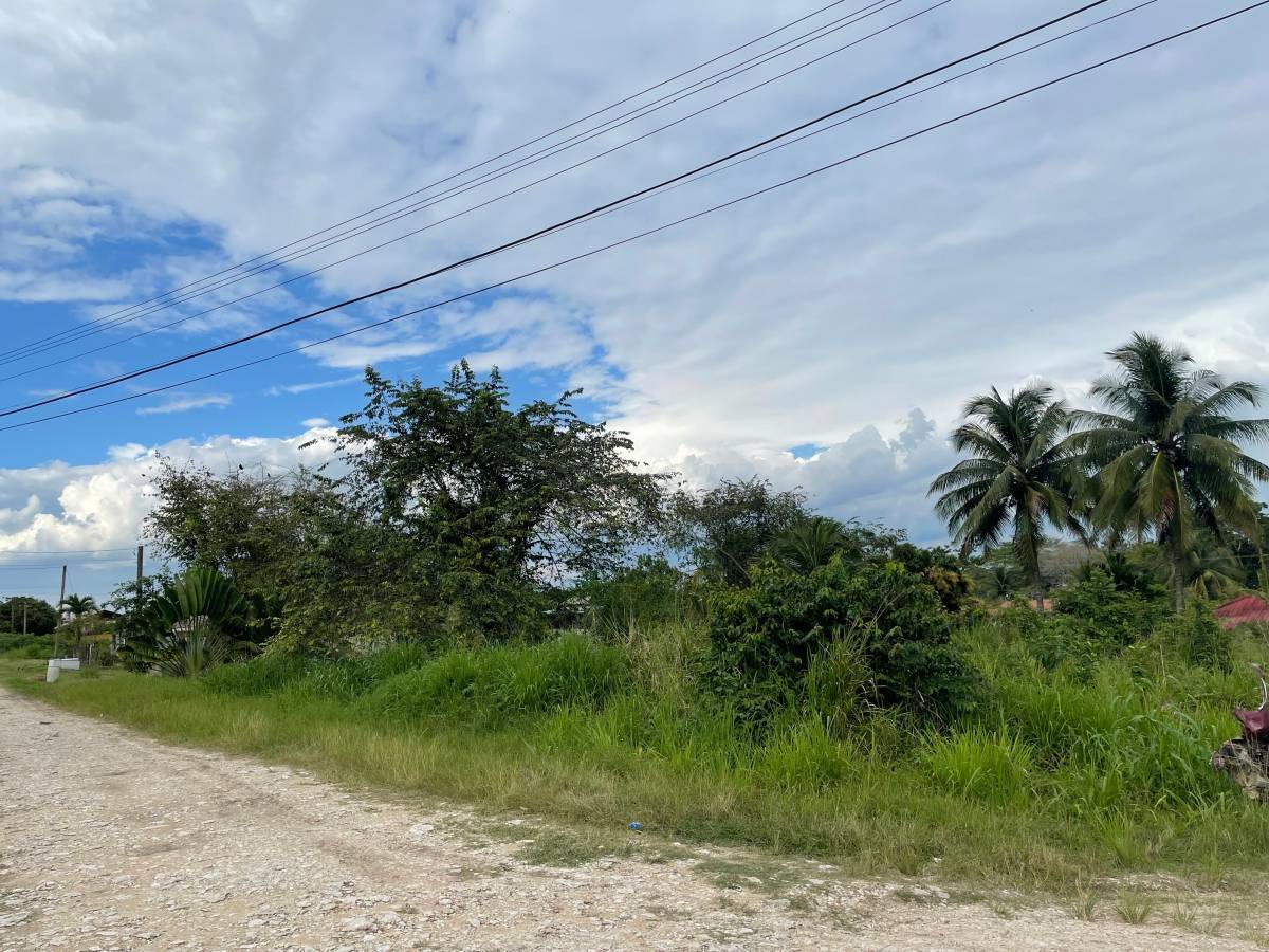 Homes for sale - Santiago Juan Layout, San Ignacio Town District, B...