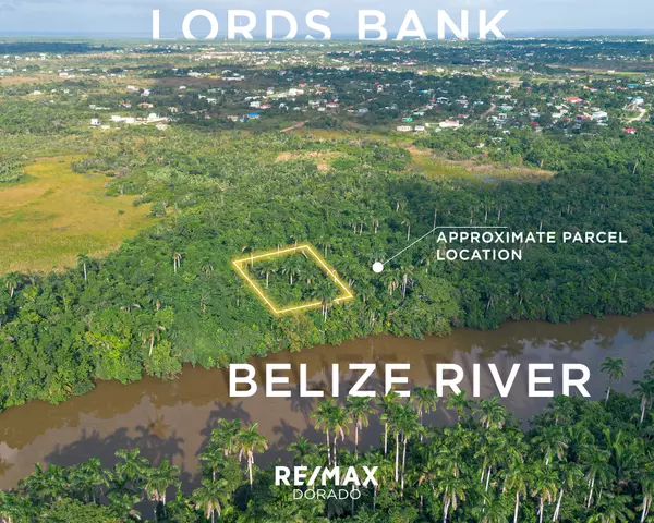 Belize City Real Estate - RE/MAX DORADO - Urban Living and Investme...