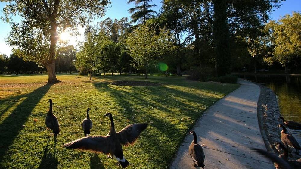 Real Estate - Jim Amen - Amen Real Estate