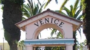 Homes for sale in Venice Mark Lyda - Generous Property