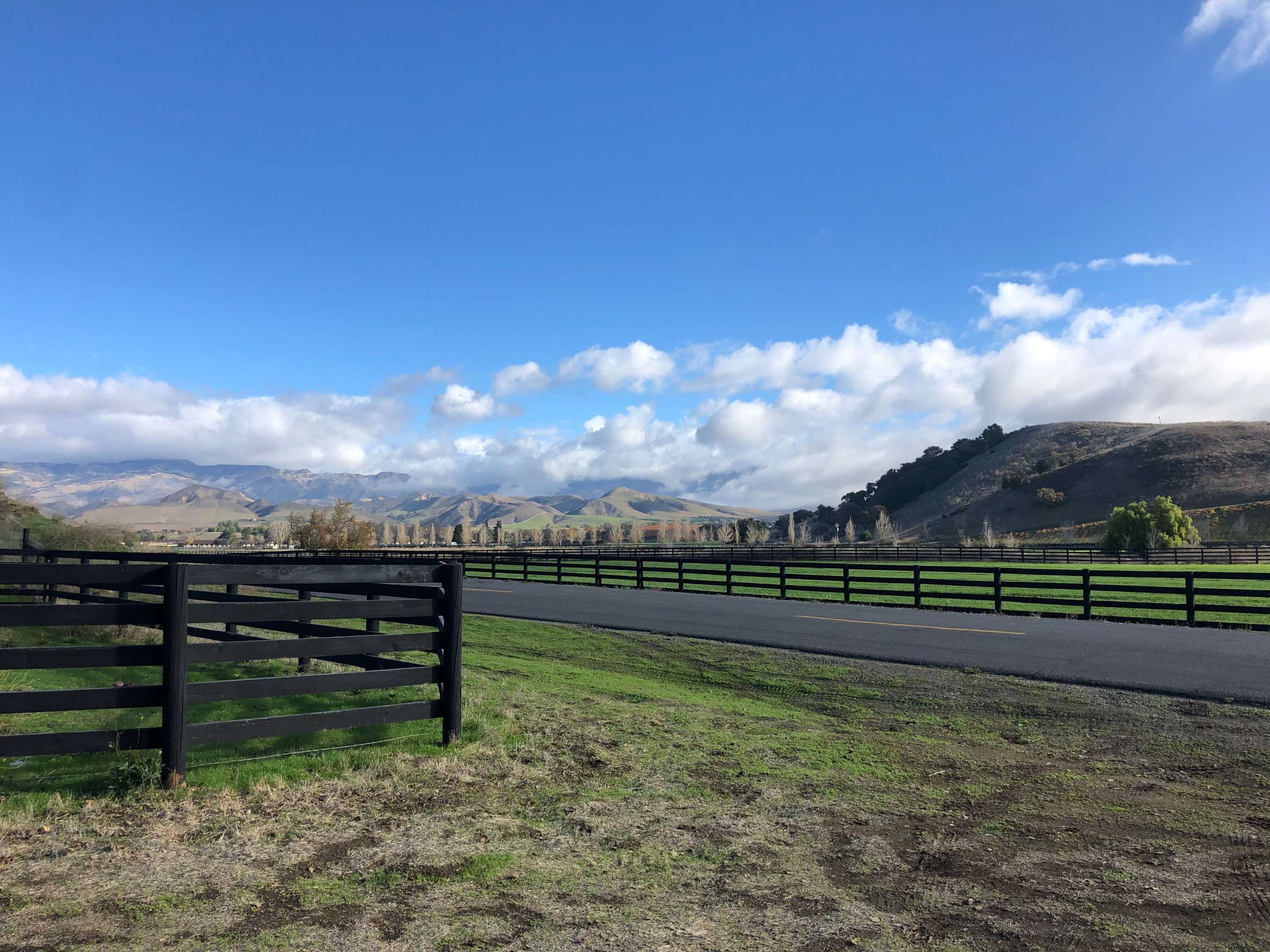 Real Estate - Shiloh Flagg - Modern Broker Central Coast